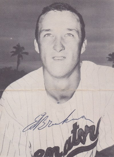 Ed Brinkman, an unsung glove record-setter – Washington baseball history